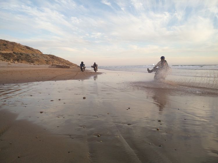 The Monkey Run | Bikers Cafe|Bikers Cafe